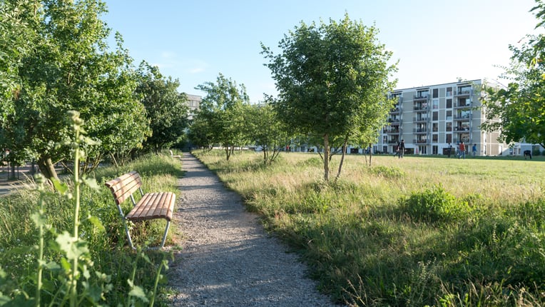 Parks und Grünanlagen | Kanton Basel-Stadt