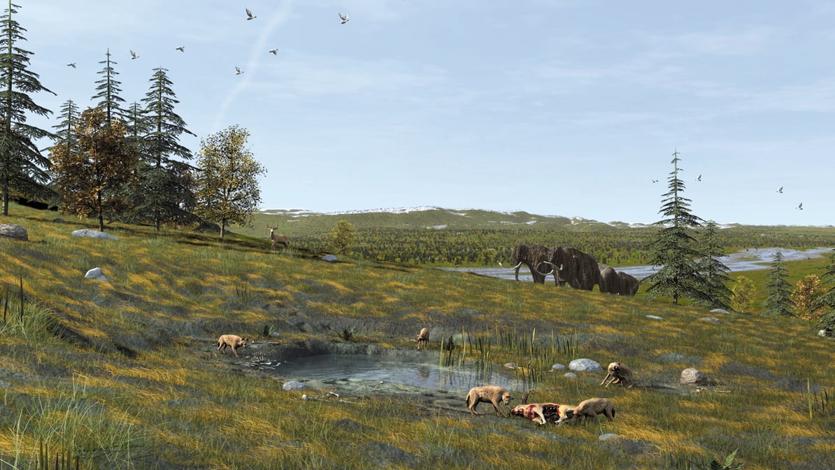 Alt- und Mittelsteinzeit: 50‘000–5500 v. Chr. | Kanton Basel-Stadt