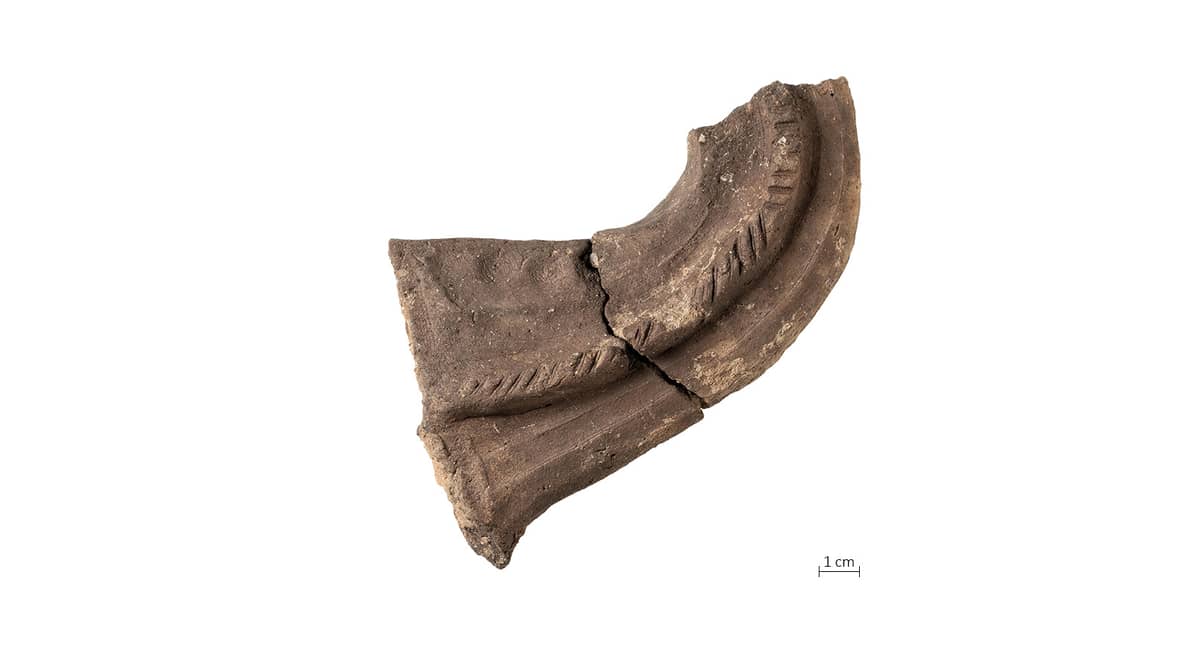 Bronzezeit: 2200–800 v. Chr. | Kanton Basel-Stadt