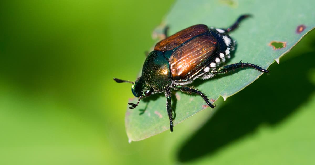 Sophie rain naked aznude cora is very welcoming, is eager