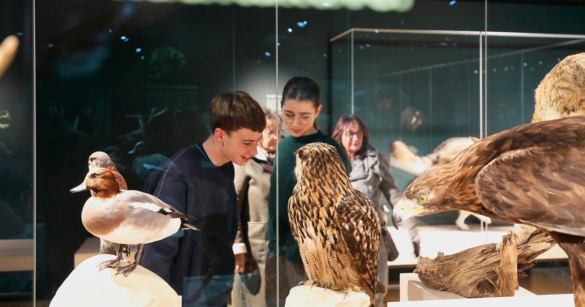 Kunstmuseum Basel und Fondation Beyeler als Publikumsmagnete | Kanton ...